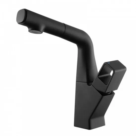 Matte Black 360° Swivel Pull-out Spout Basin Mixer Tap